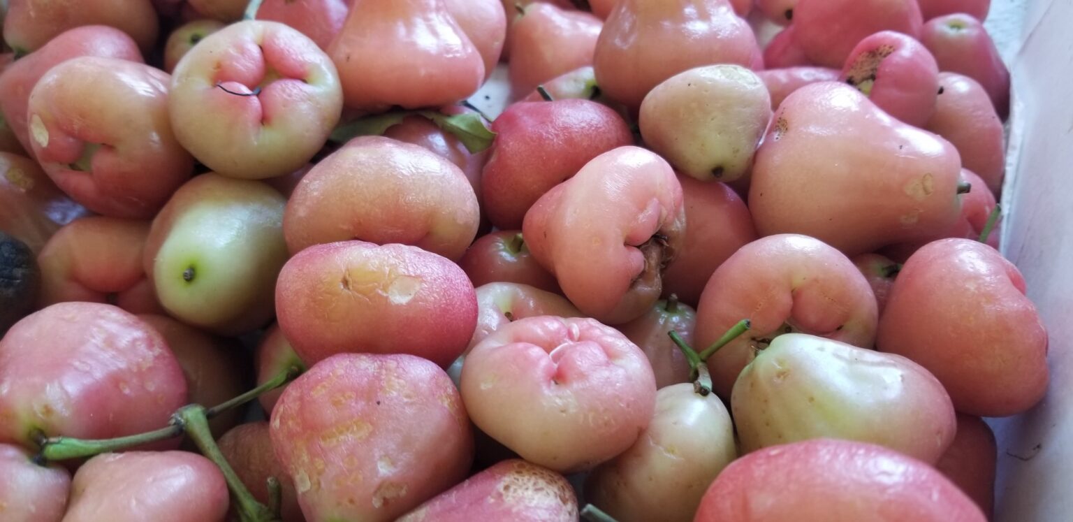 Spices, Fruits, and Vegetables of Belize ⋆ Chef John Malik
